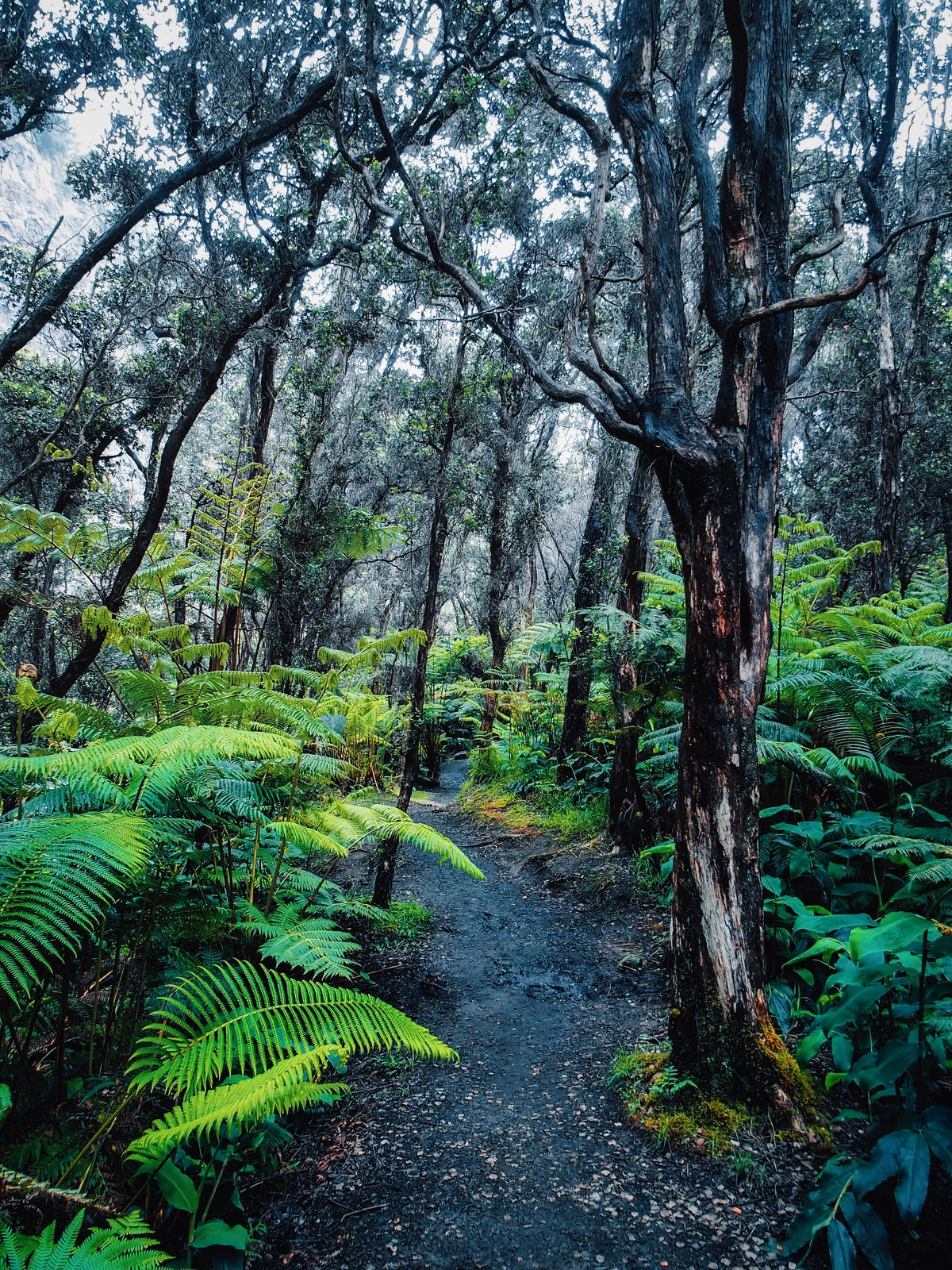 Beautiful Pictures Of Our Earth — 128 | by Steve Rouge | Medium