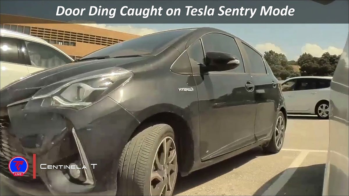 Door Ding Caught on Tesla Sentry Mode | Teslcam Live - TeslaCam Live ...