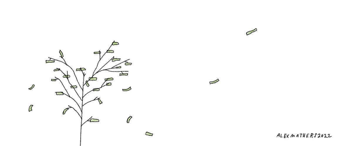 Read this to quickly decrease your fears around making money | by Alex ...