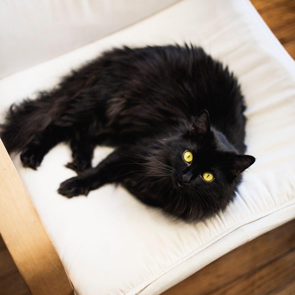 A Superstition, You Have?. The invite to write — runs for a week | by ...