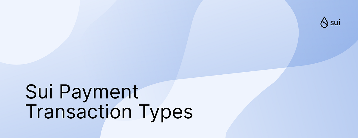 Introducing Sui Payment Transaction Types | by Dmitry Bozza | Medium