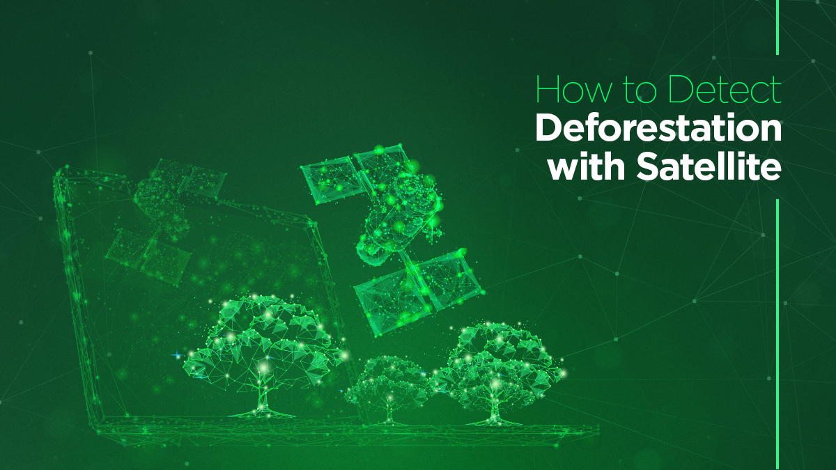 How To Detect Deforestation With Satellite By Dimitra Technology Medium