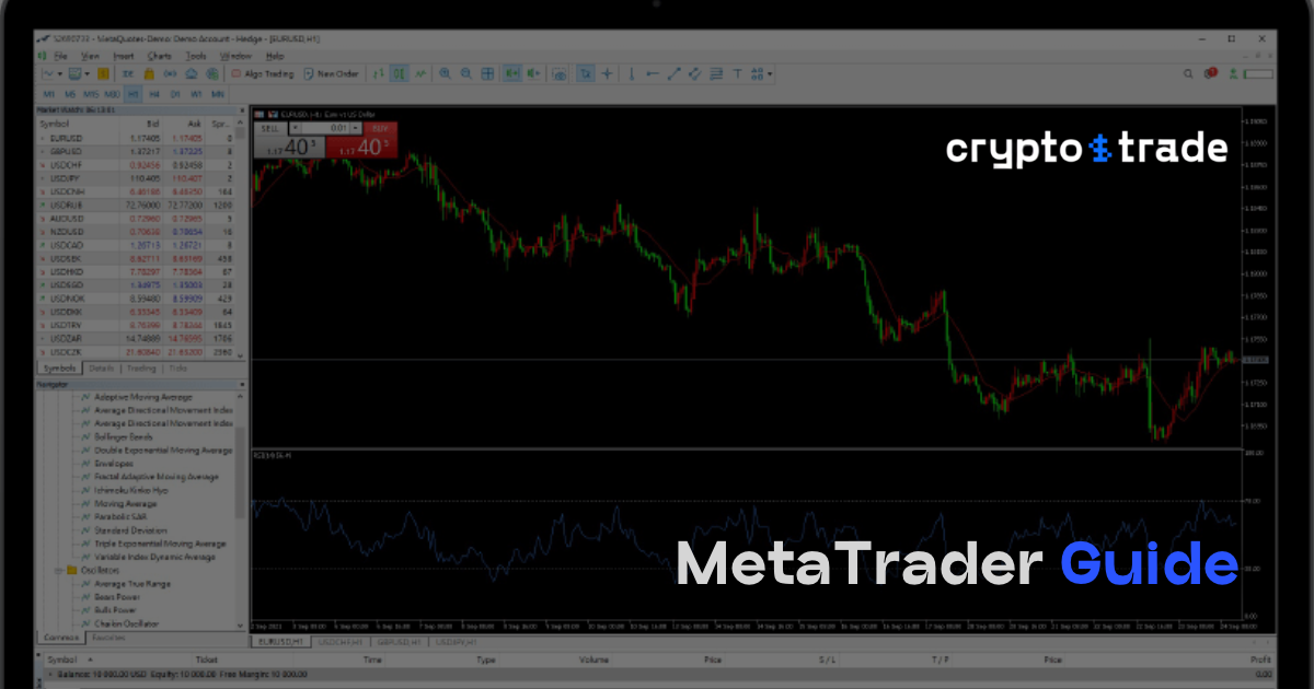 Meta Traded Guide. Intro | by Cryptoscamm | Medium