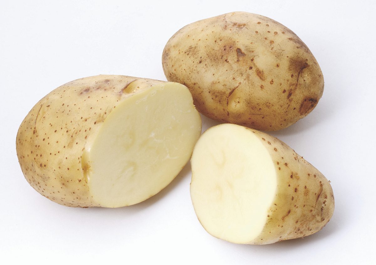 Le Patate. Prima di piantare le patate scegli una… | by GiardinoWeb ...