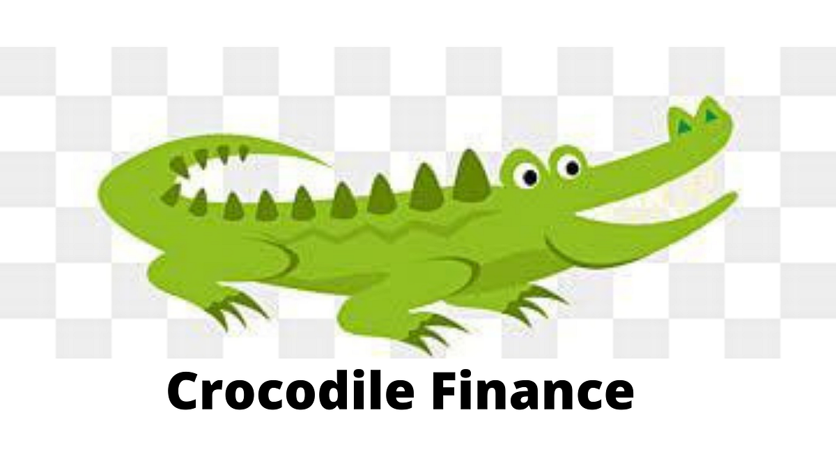 Introducing Crocodile Finance - Crocodile Finance - Medium