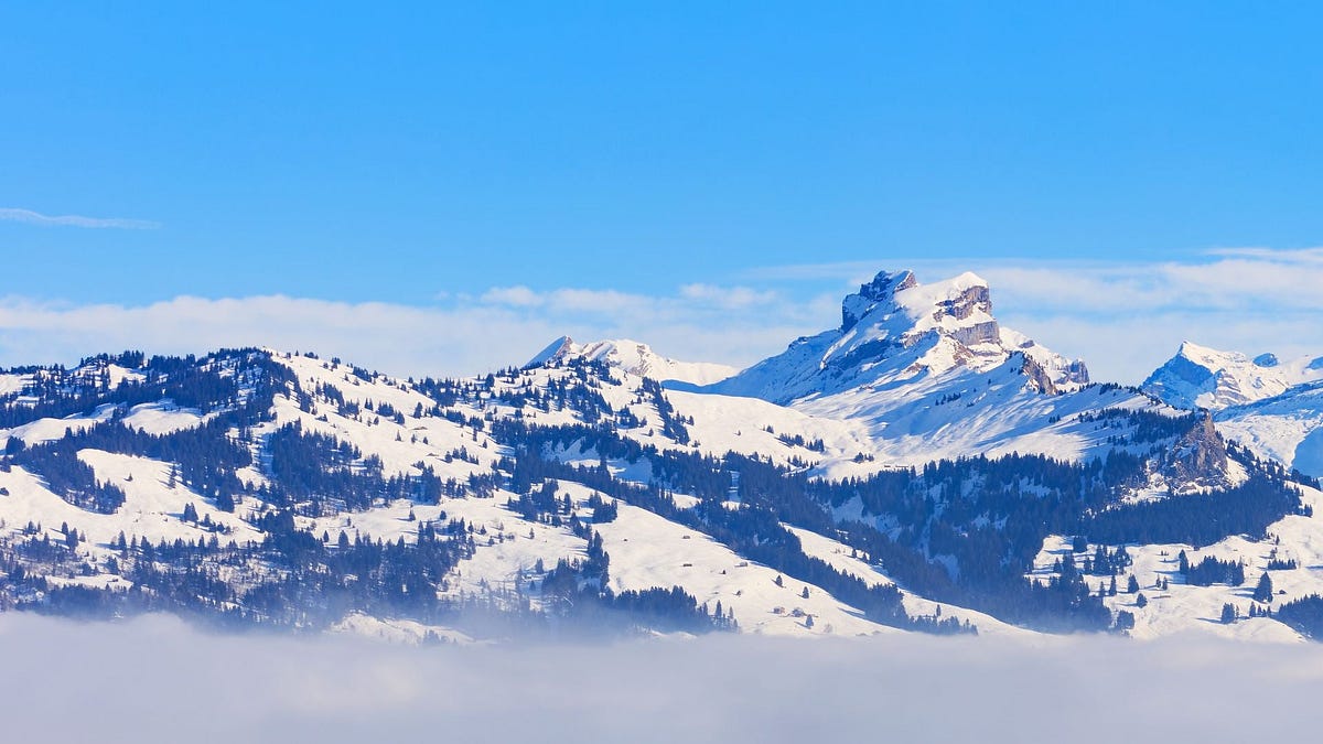 Celebrating the essence of Swiss alpine white: where purity meets ...