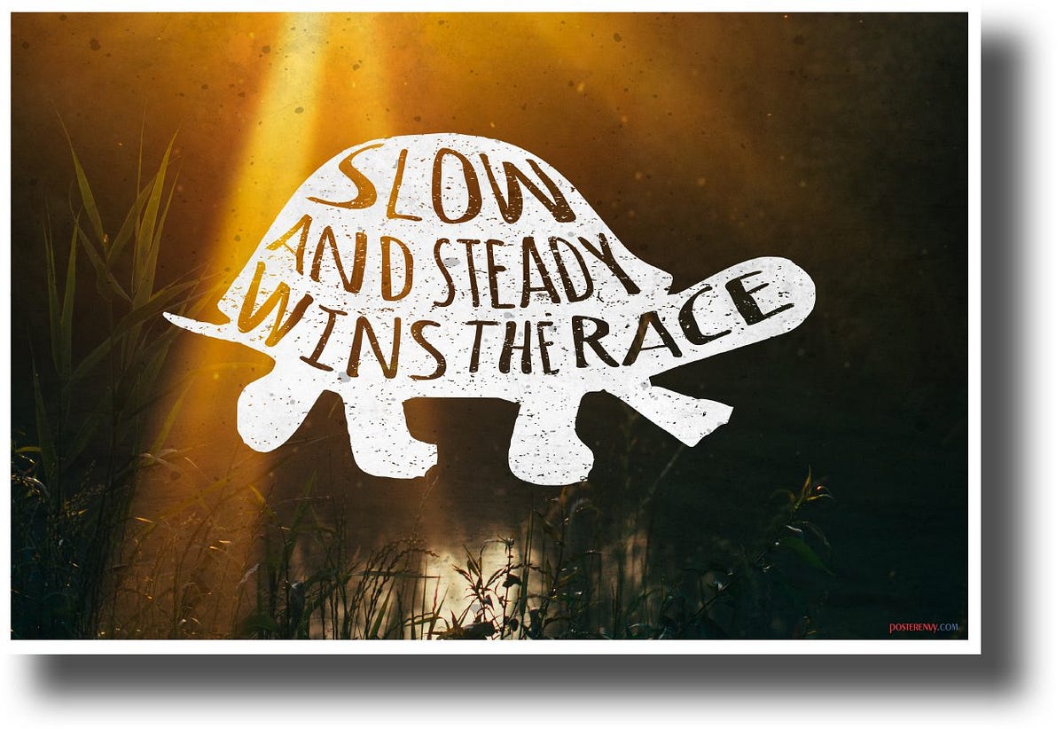 The Virtue of Slow Growth: Why Patience Pays Off in Business | by ...