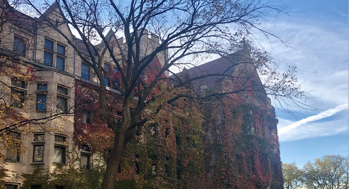 Ranking 5 spots on UChicago’s campus where I’ve gone a date | by Yeeqin ...