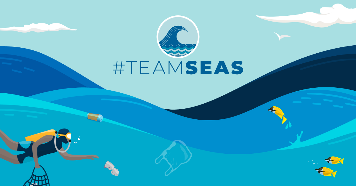 Team Seas - Hellello - Medium