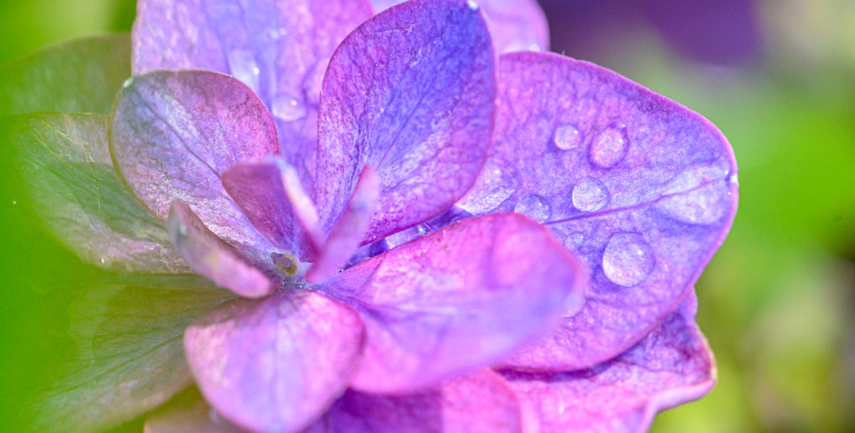 How to Use Jotai and useTransition for Mutation | by Daishi Kato | Medium