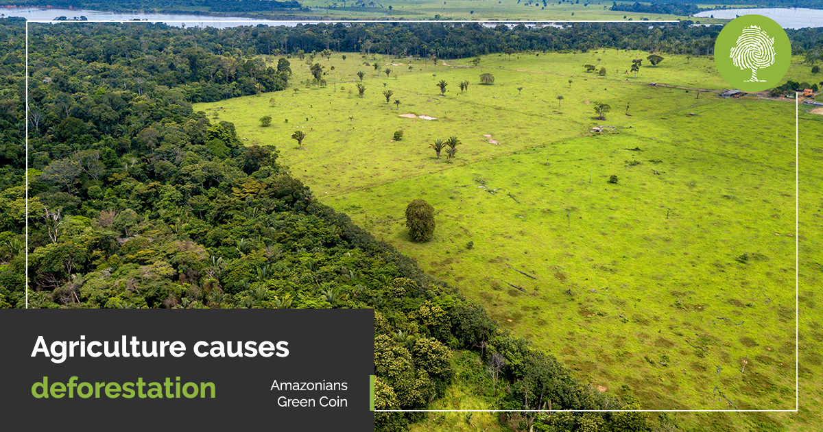 Agriculture causes deforestation. Slash-and-burn agriculture can be a ...