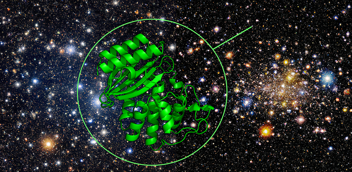 New resources to get the most out of 200 million AlphaFold models of ...