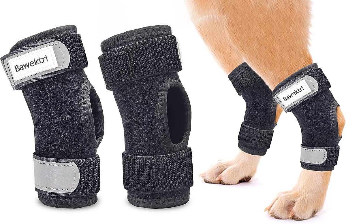 Dog Leg Braces for Rear Legs, Hock Brace for Back Legs with Metal ...
