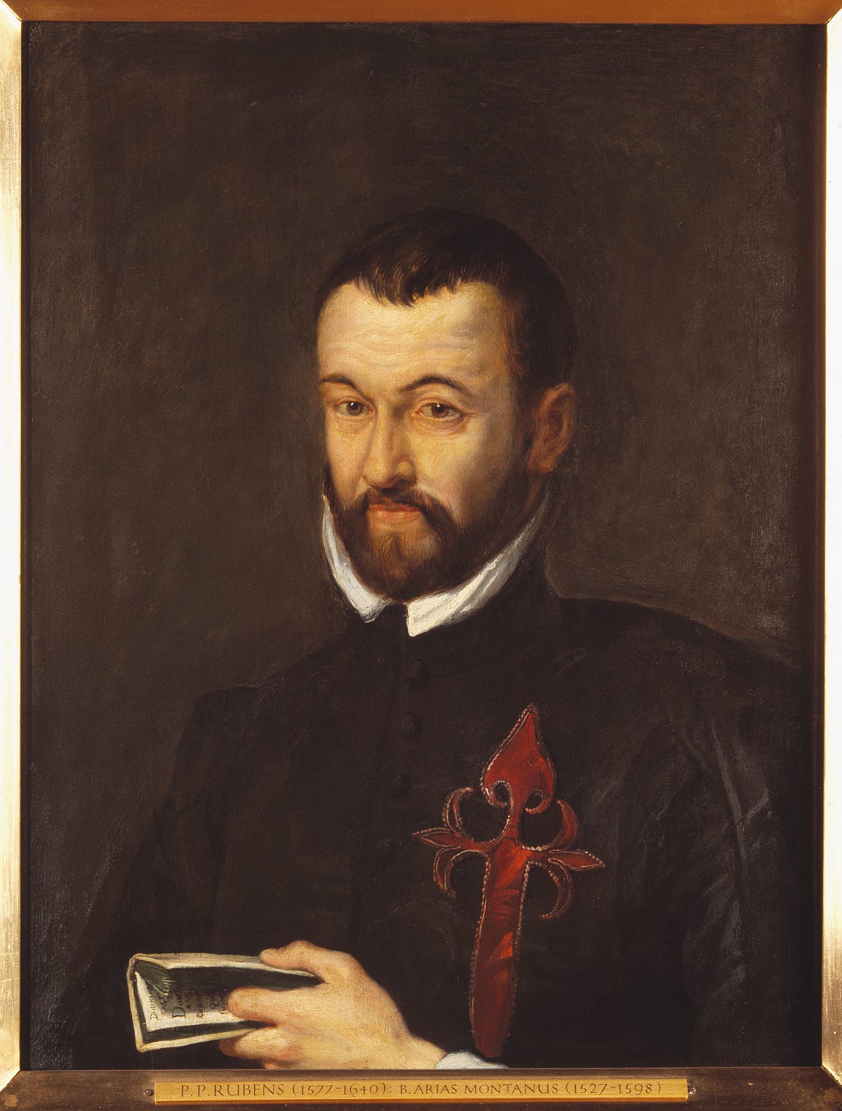 Francisco de Arceo was an exceptional Renaissance rural surgeon. | by ...