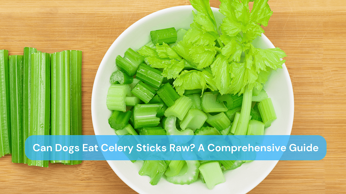 Can Dogs Eat Celery Sticks Raw? A Comprehensive Guide | by Kartikey dwivedi | Jul, 2024 | Medium