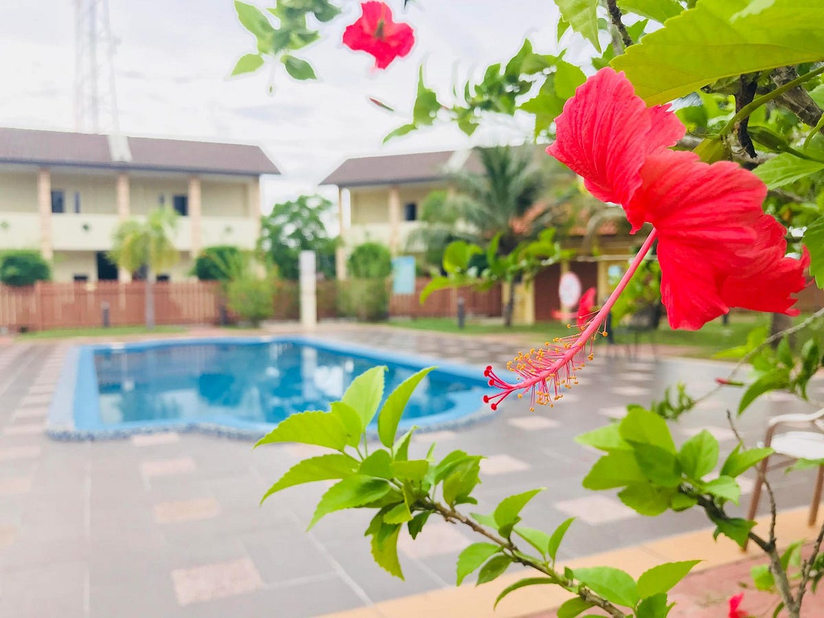 Shell Out Cenang Beach Resort: Penginapan Mewah Dekat Pantai Cenang di ...