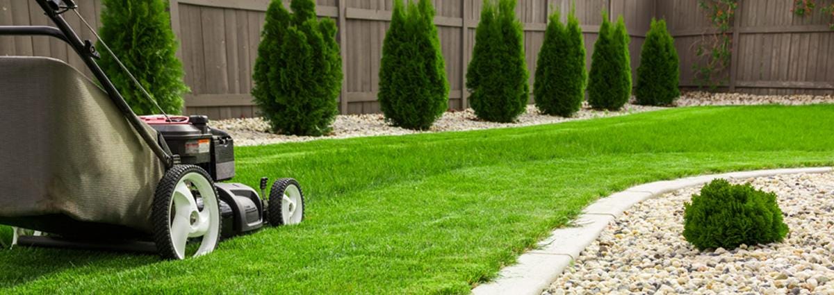 Transform Your Lawn with Expert Gardening Services | by Grassmaster ...