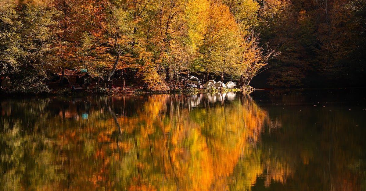 Autumn Is the Perfect Opportunity for Self-Reflection | by Zoe ...
