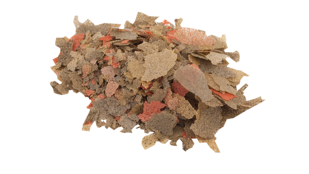 Fish Flakes for Dogs: Best Guide . | by Kartikey dwivedi | May, 2023 ...