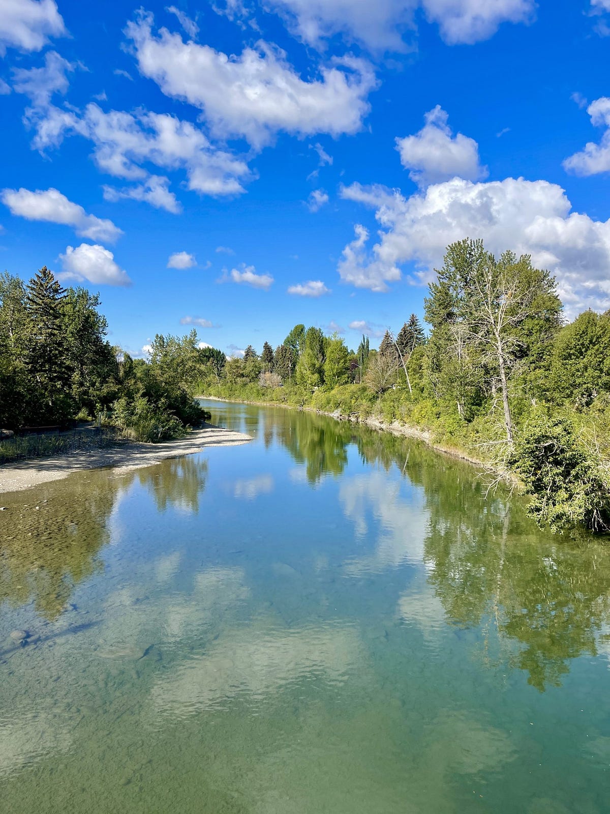 What to DO in CALGARY, Canada? | by Lisa Ellen Niver | Medium