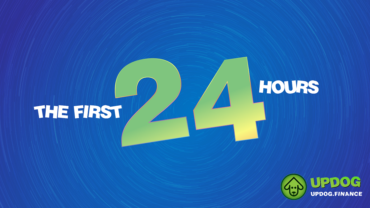 The First 24 Hours. Everything we could have wished for and… | by UPDOG ...
