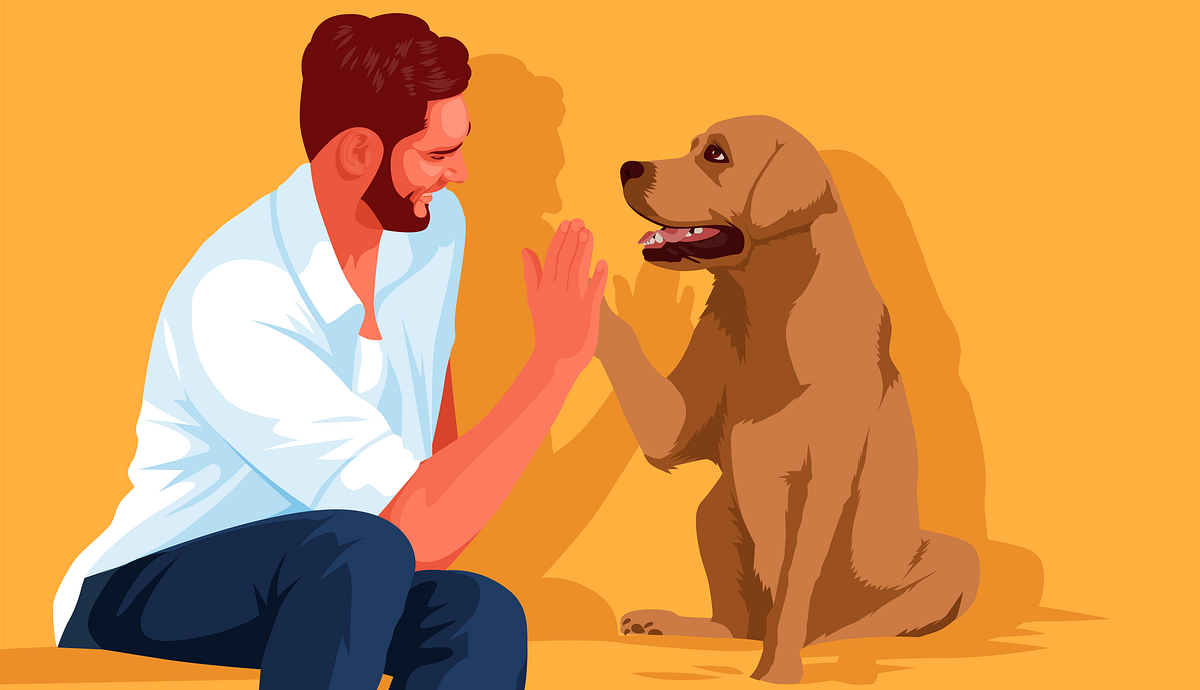 How Do Dogs Improve Your Health: 5 Amazing Benefits | by Margaret Junes ...
