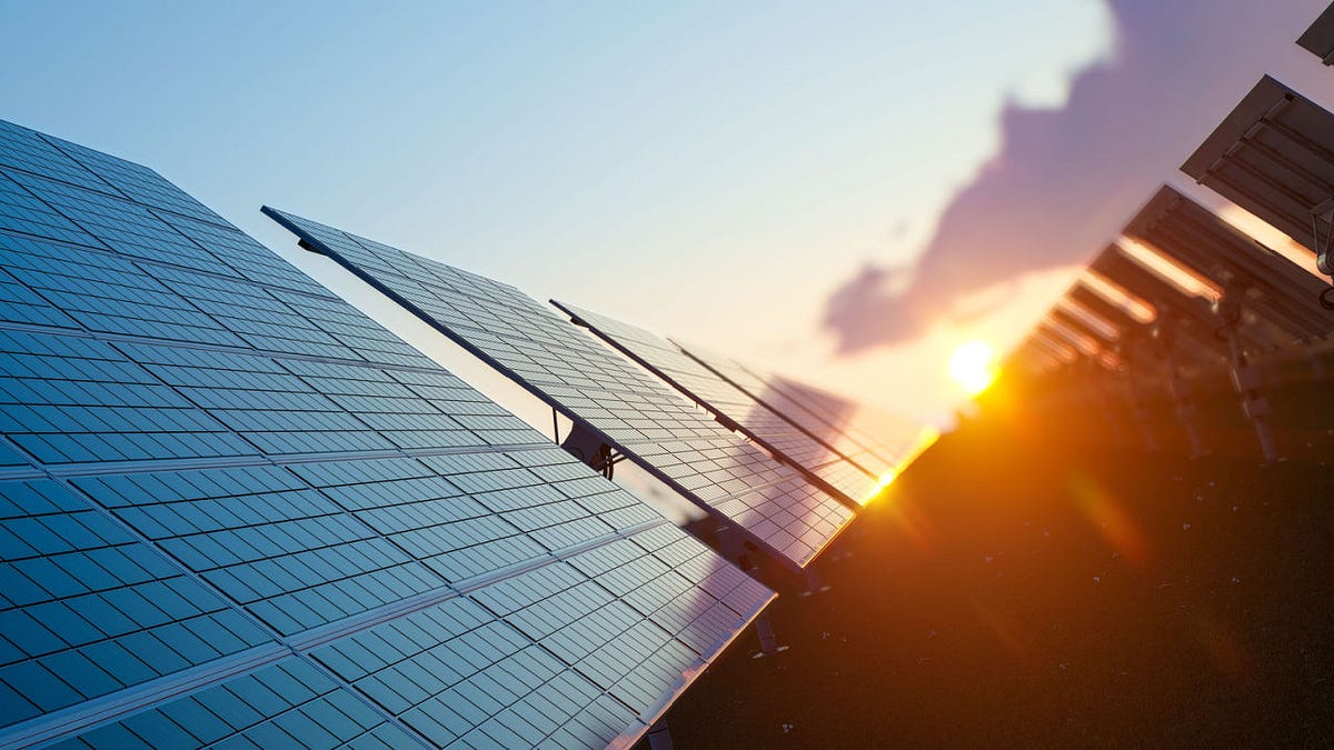 South African Startup Momint Seeks to Enhance Electrical energy Era ...