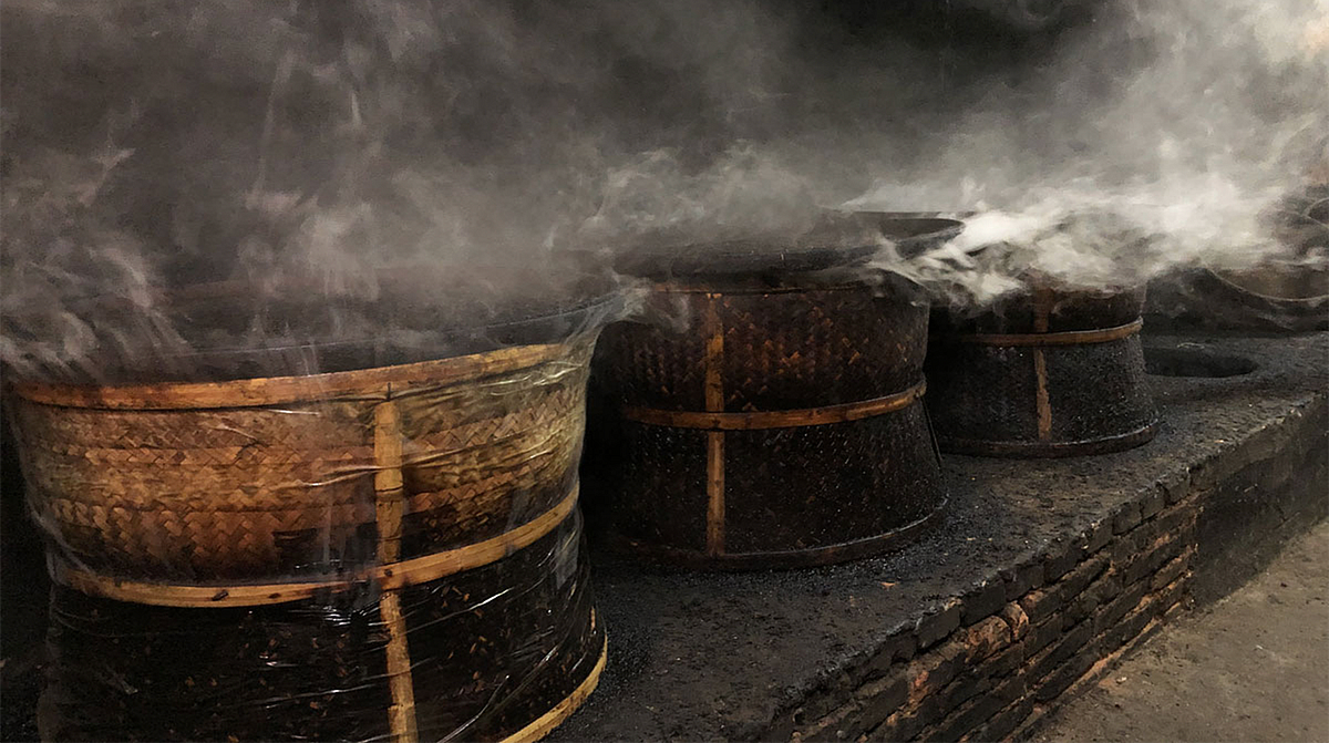 Ulka Pind Records and the “Why” of Noise Music | by Diego Aguilar ...