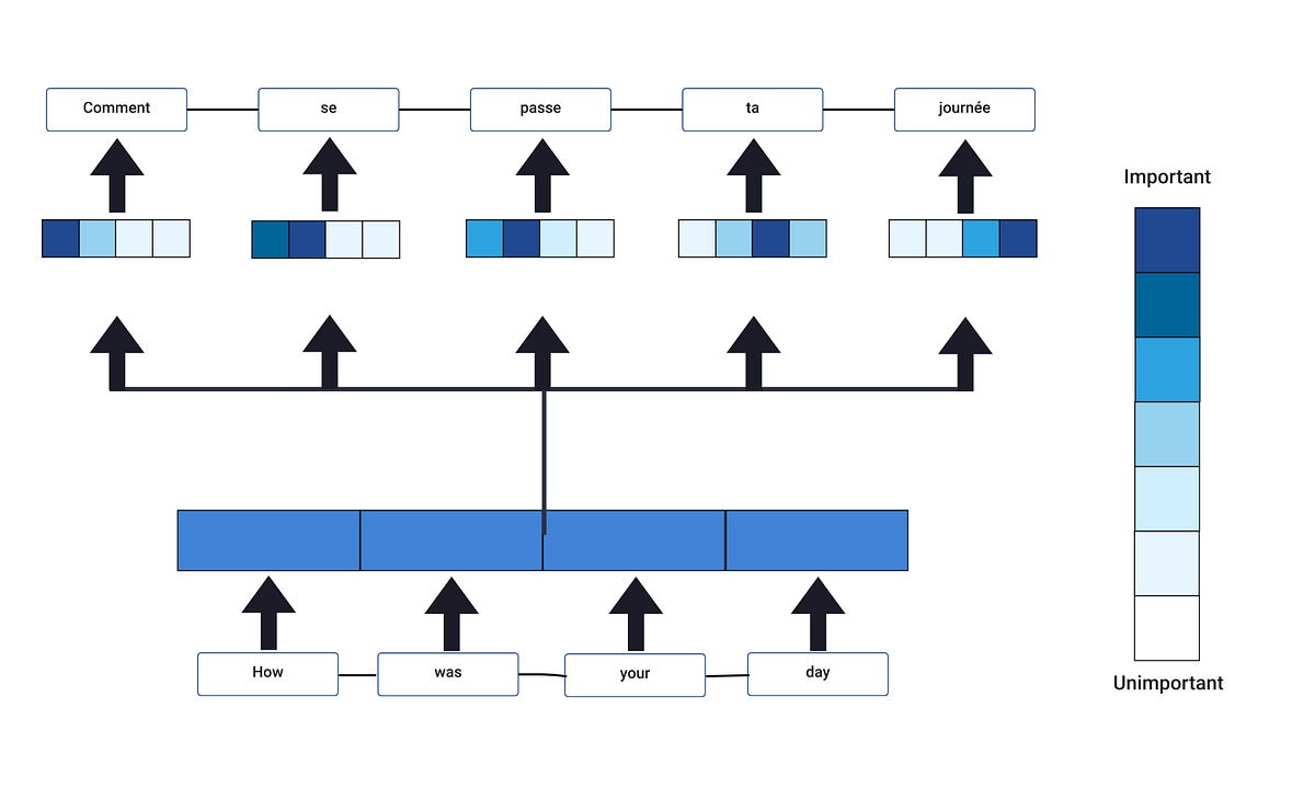 Understanding Explainable AI’s Complexity in Natural Language ...