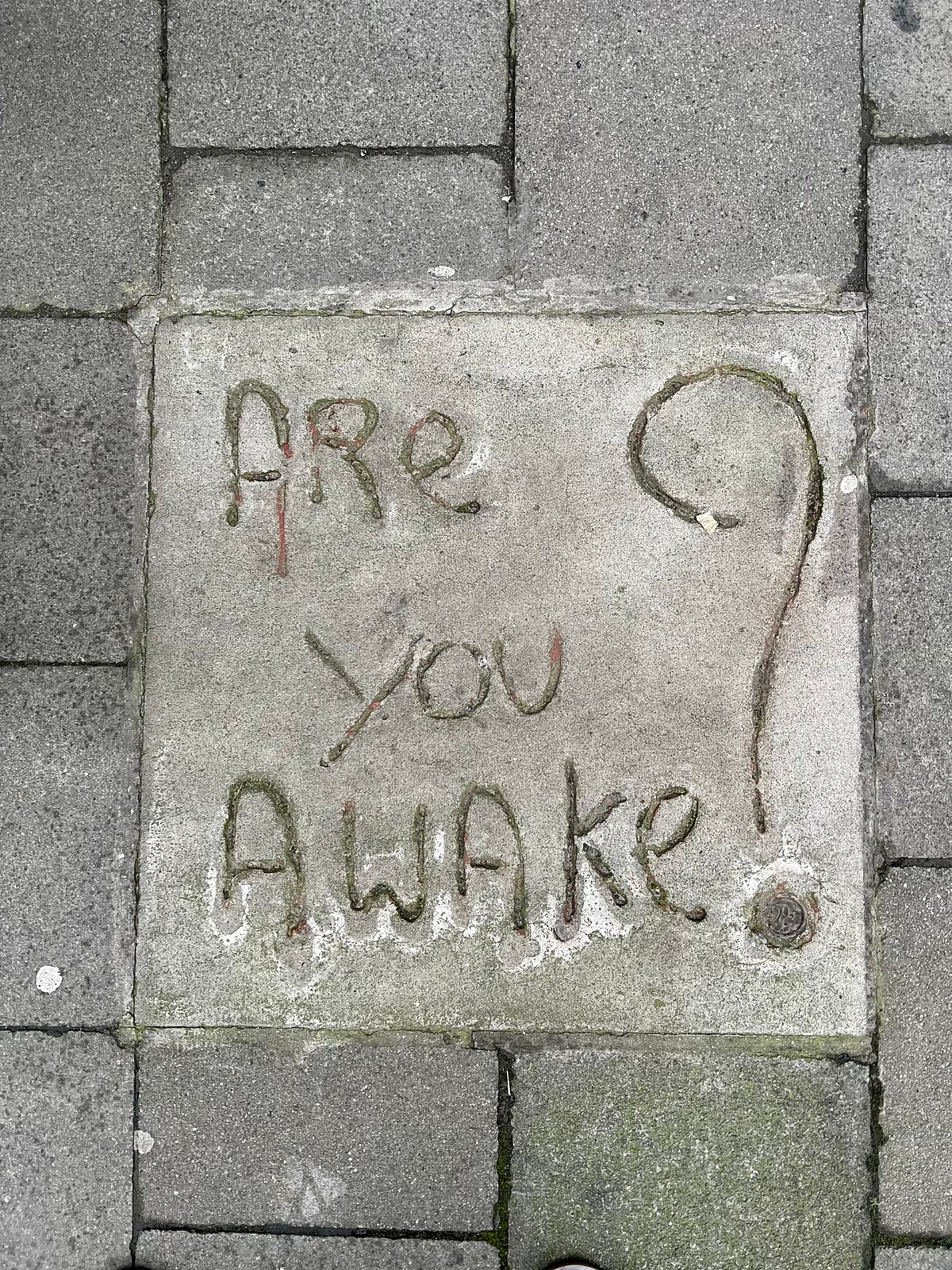 I m Not Woke Woke verb Past Tense Of Wake 1 To By Addie Ellis