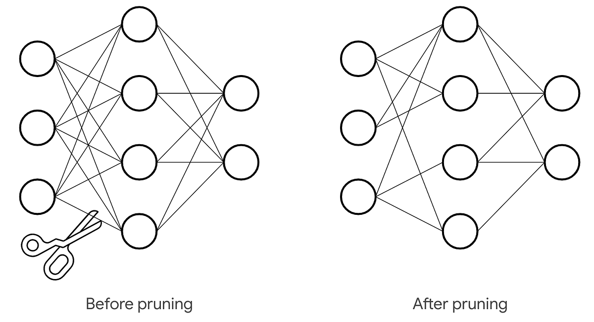 PyTorch Tutorial: Dynamic Weight Pruning for more Optimized and Faster Neural Networks | by Reza ...