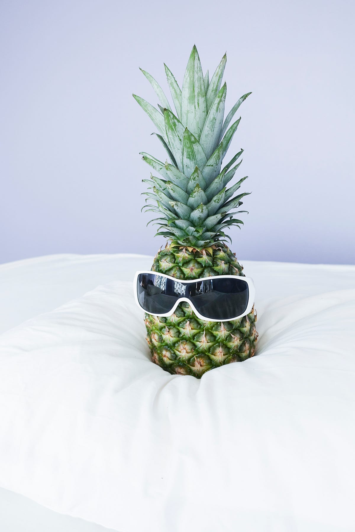 Where will we be without memes?. In today’s society, it’s hard to… | by ...