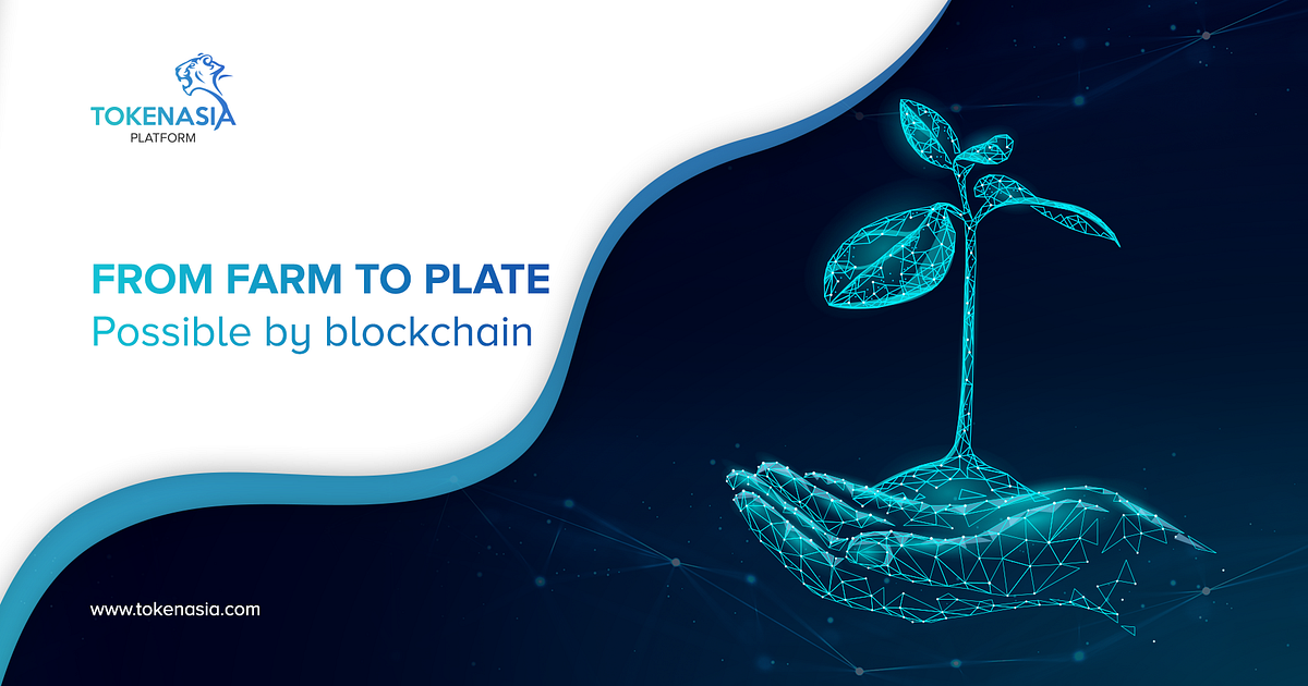 From Farm to plate — Blockchain technology in Agriculture supply chain ...