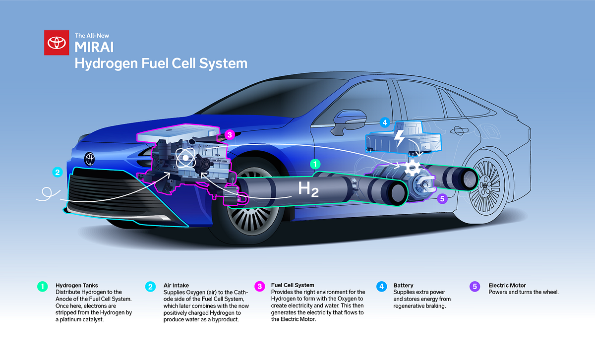 Hydrogen fuel cells. Hydrogen Fuel Cells: A Clean Energy… | by Salma ...