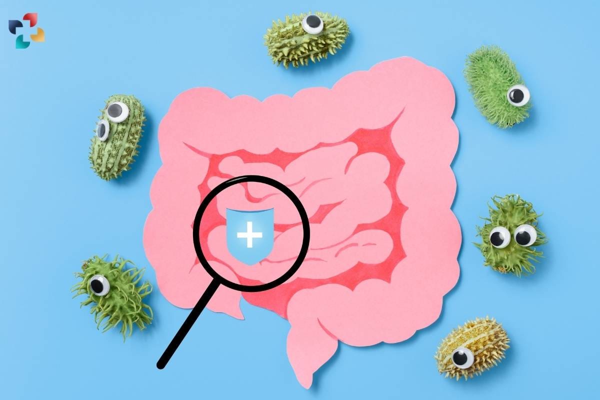 Exploring the Power of Gut Microbiome Testing: Understanding Your Body ...