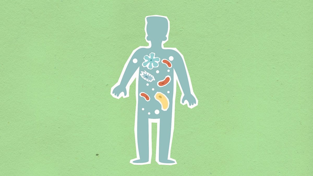The Key Players of the Immune System — Immunology #3 | by Beth Howe ...