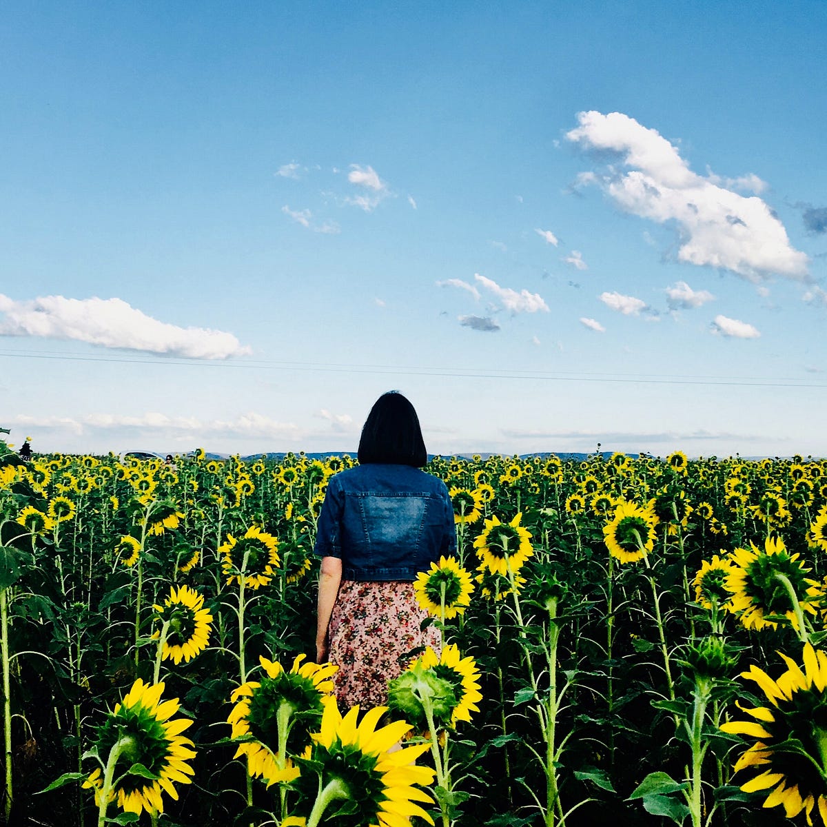 The 5 Stages of Going Alcohol-Free | by Alison Mosiello, The Healthy ...
