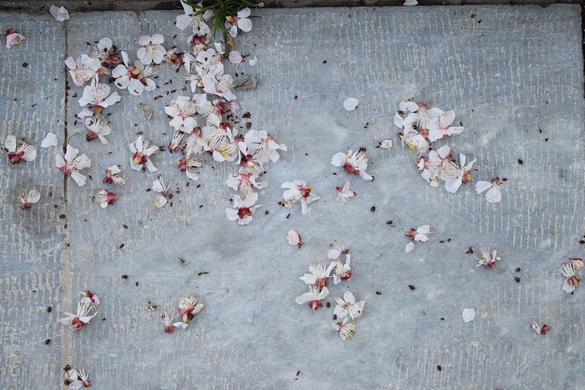 In Slow Motion. A Poem | by Jillian Spiridon | Bright Eyes Poetry | Aug ...