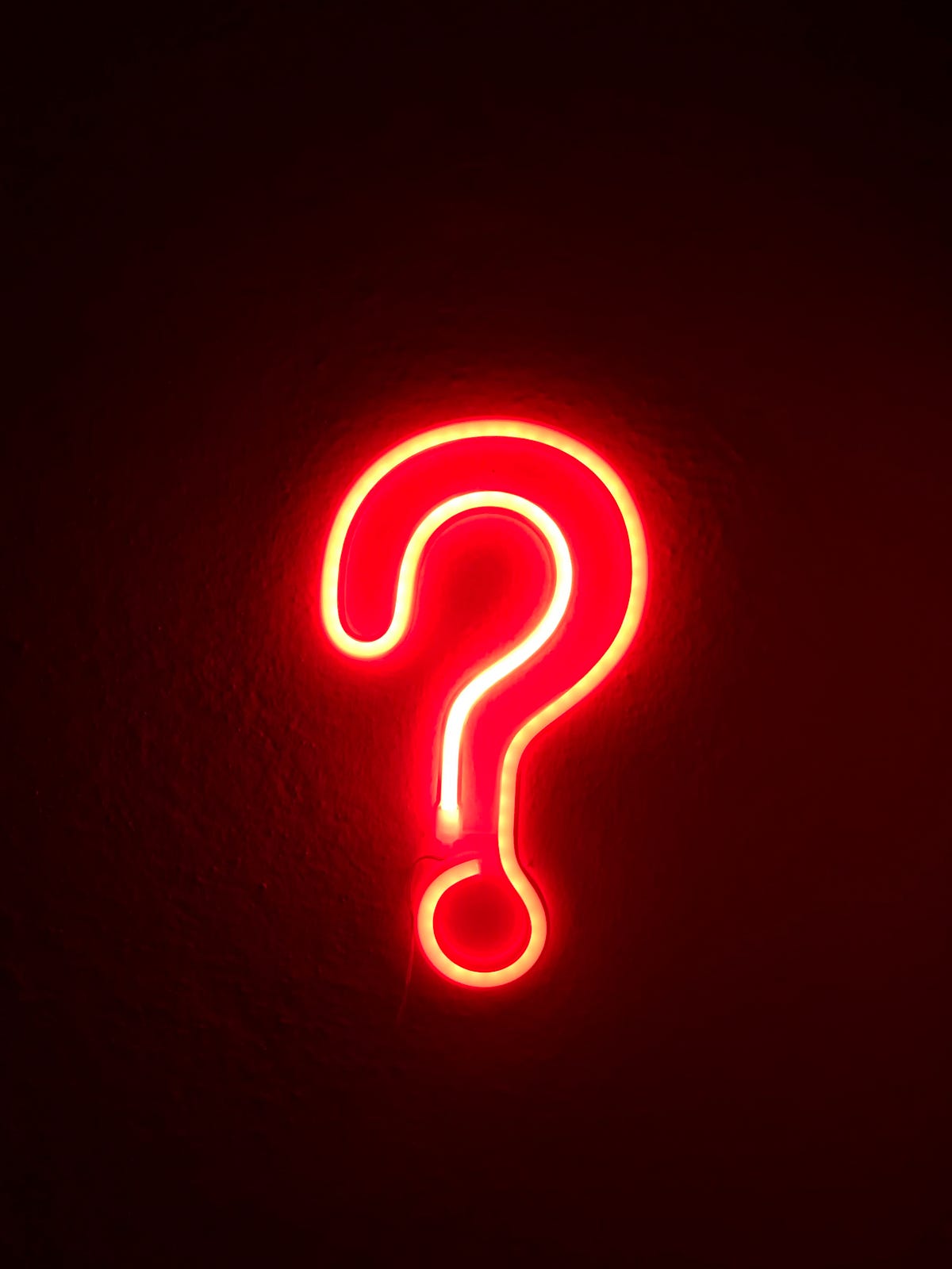 The Questing Mind. The thinking human being questioned the… | by ...