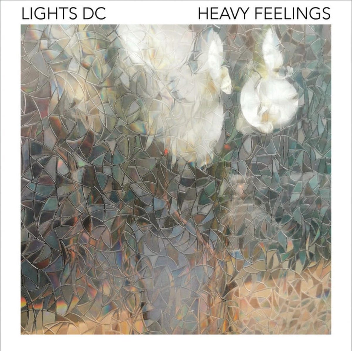 Heavy Feelings (Original Single) By Lights DC | by EDMREKORDS.COM | Medium