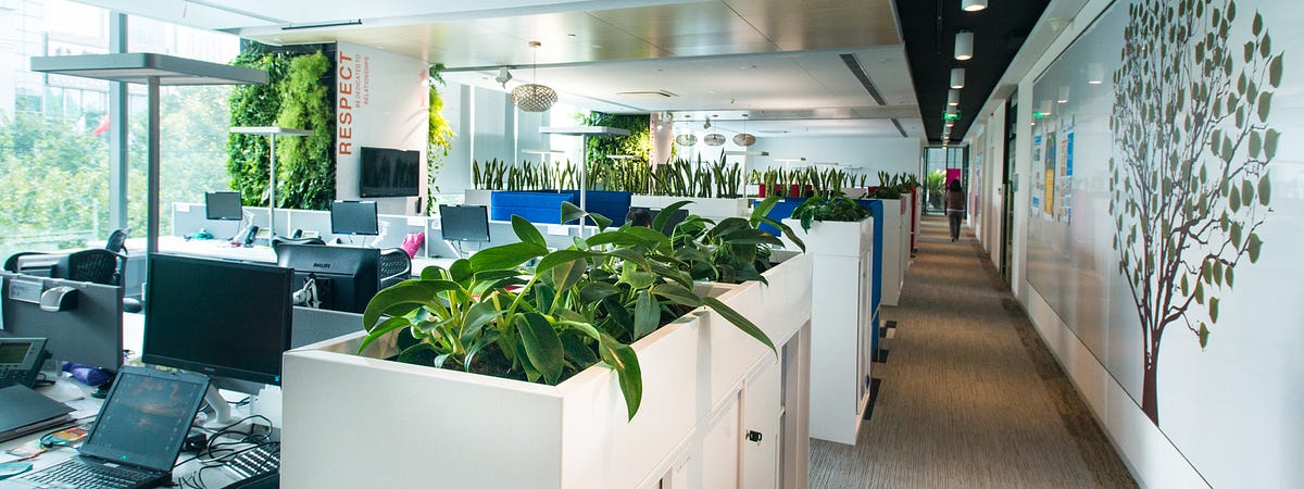 5 Simple Steps for a Green Office | by Northerncontract | Medium