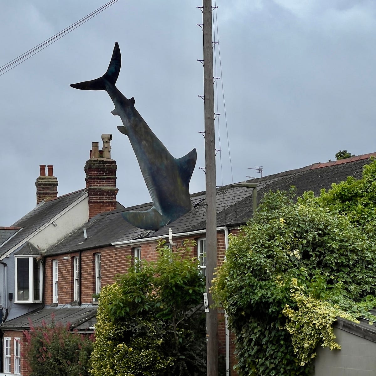 Shark! - Adam Tinworth - Medium