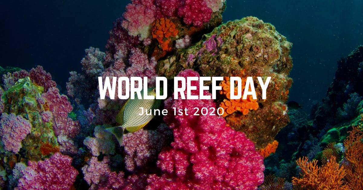 Celebrate World Reef Day 2020 | by Caribbean Culture and Lifestyle ...