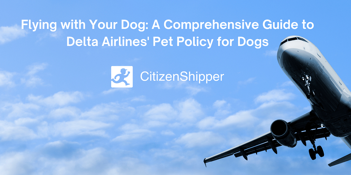 Guide to Delta Air Lines’ Pet Policy | by Team CitizenShipper ...