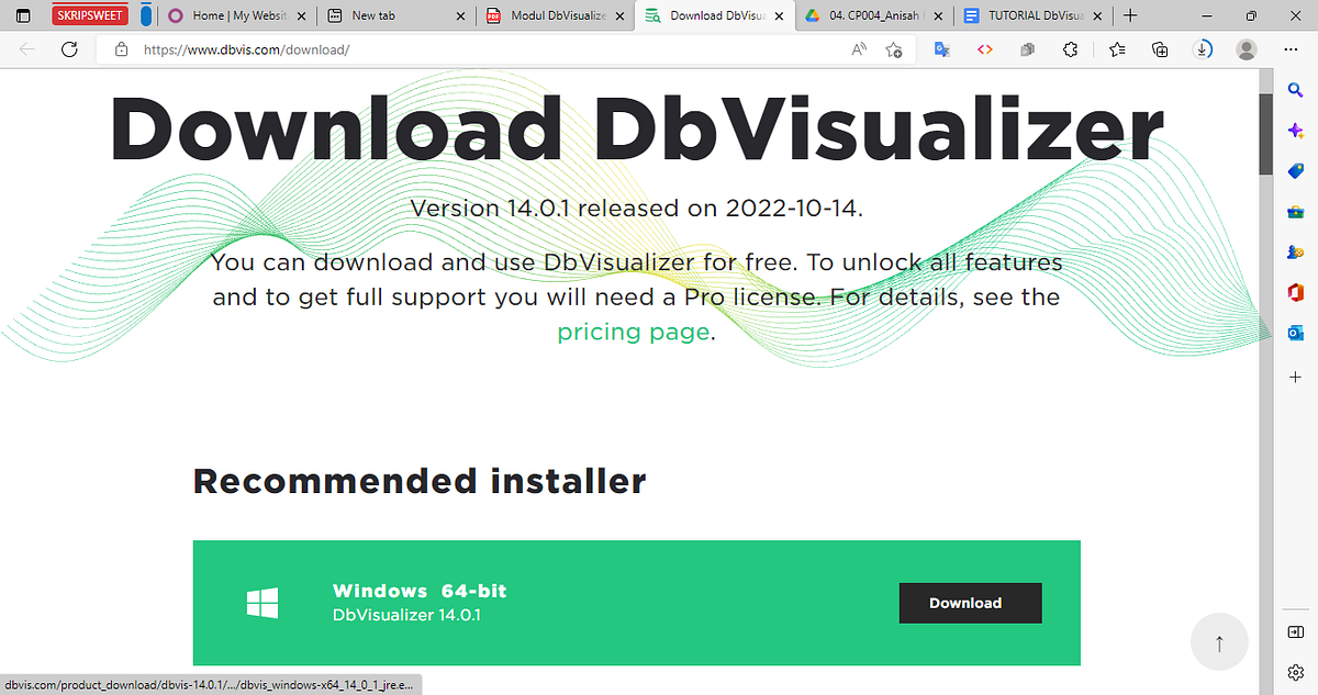 Tutorial Connect Dbvisualizer Pada Odoo 14 By Anisahriyanto Medium