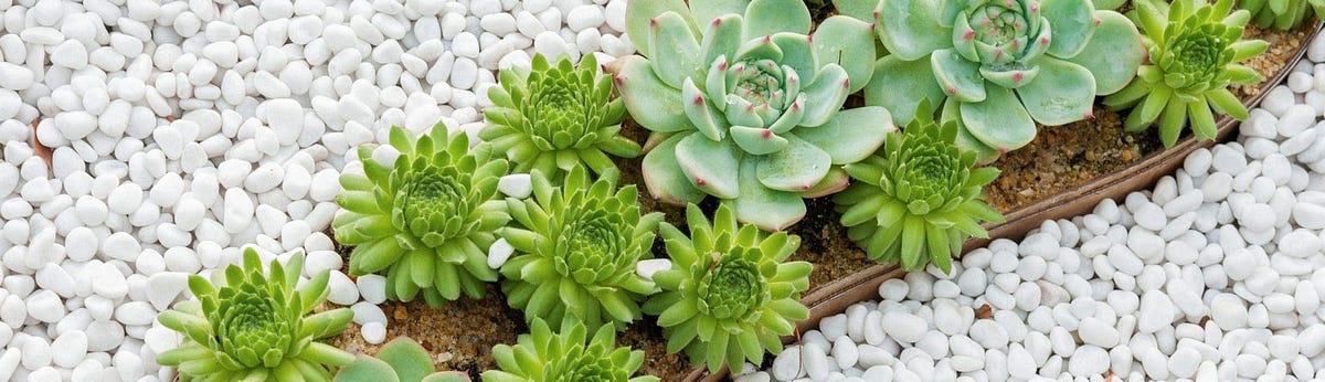 The Charm and Utility of Pebbles Made from Natural Stone | by Oz ...