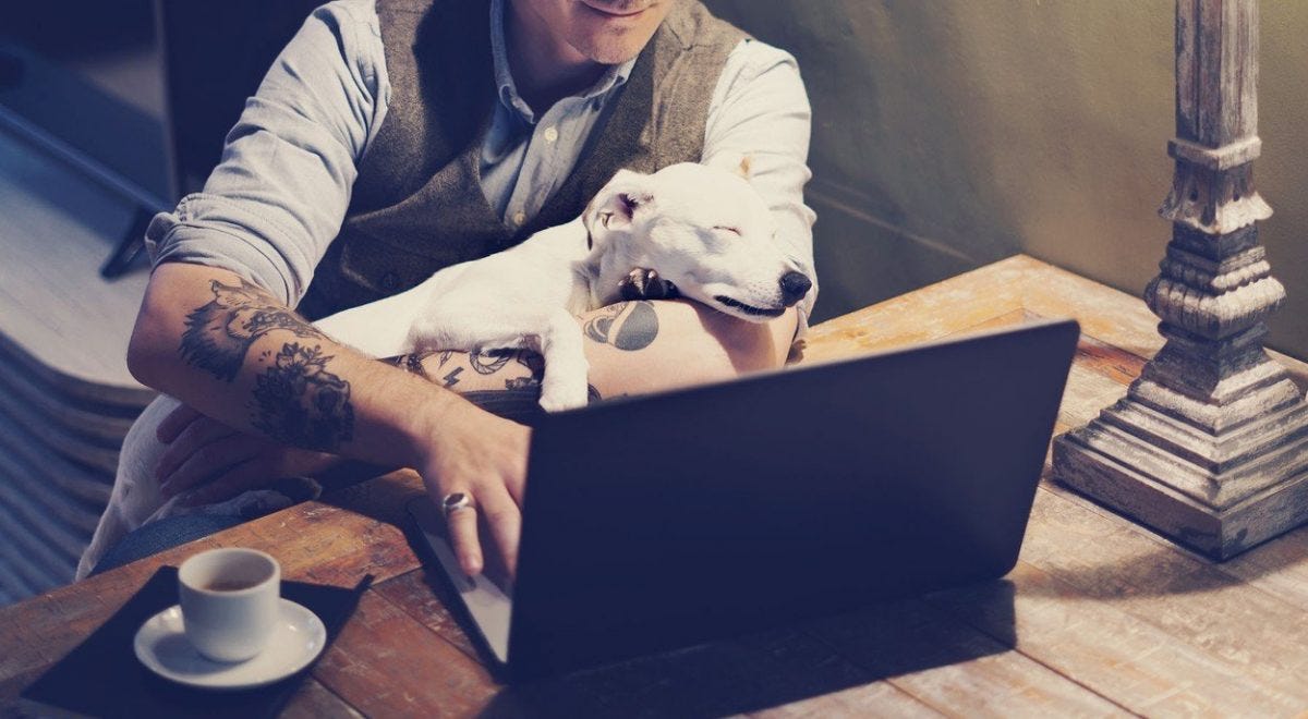 Every Internet User Will Benefit From This New Digital Development | by BehaviourExchange (BEX ...