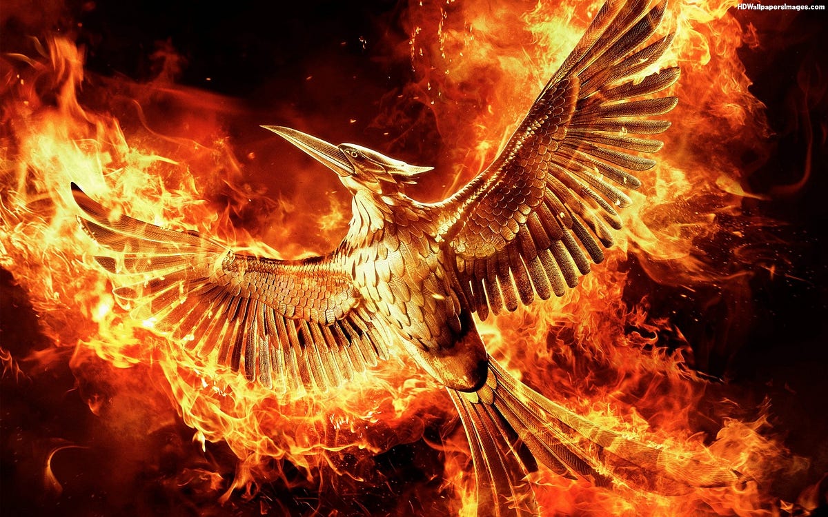 The Hunger Games and Generation K | by sophie | Medium