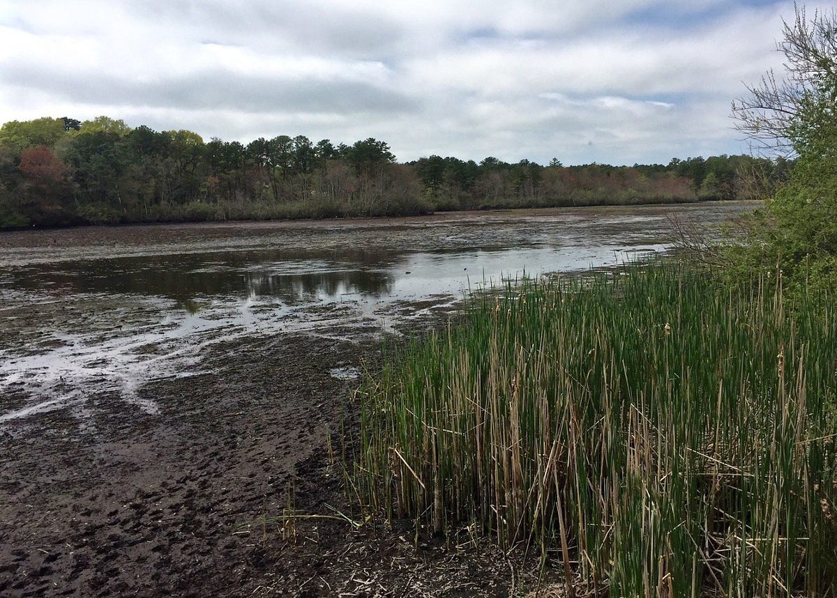 There has been a lot of discussion lately about the restoration of ...