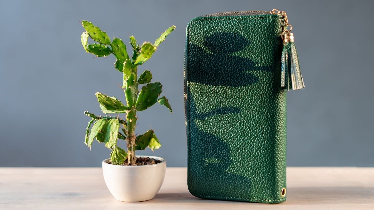 Shopping for Plant-Based Leather — Earth911 | by Orca.c | Medium